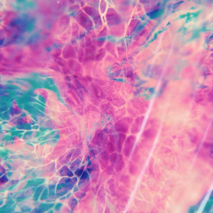 Nugi - Mycelius EP | Hug Records