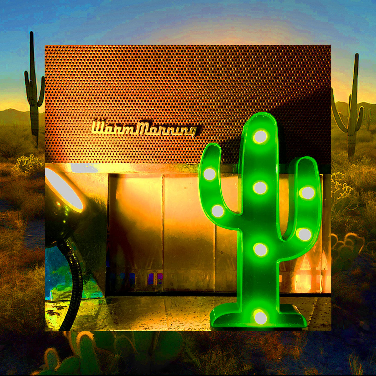 warm morning | smooth cactus