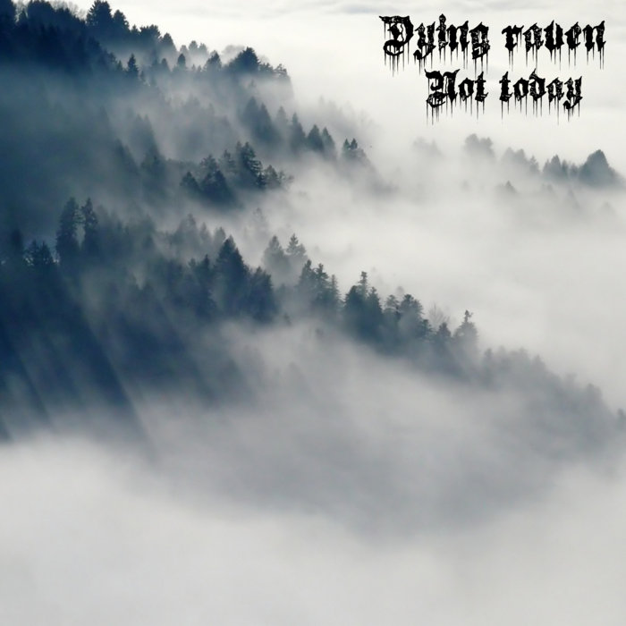 Not today | Dying raven