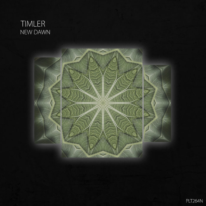 New Dawn | TIMLER | Polyptych