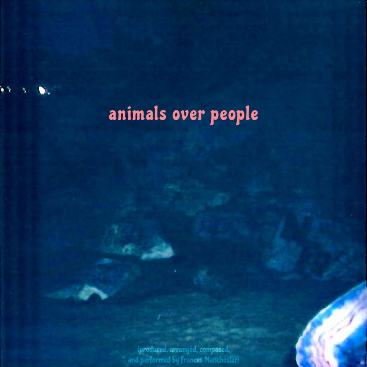 Animals Over People - Anniversary Edition | Animals Over People