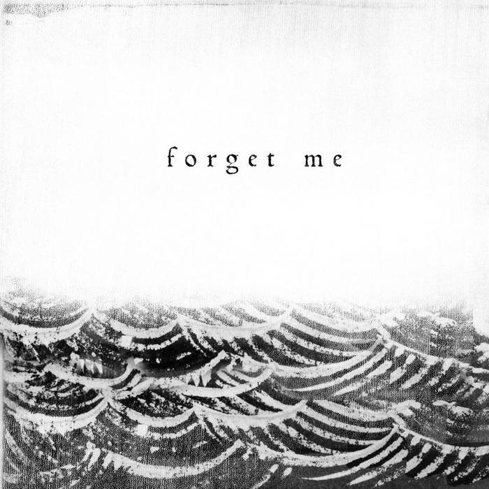 Forget Me Quotes