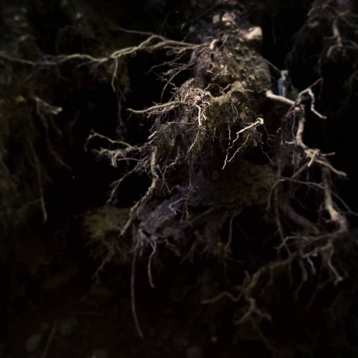 The Thief's Altar | Everson Poe