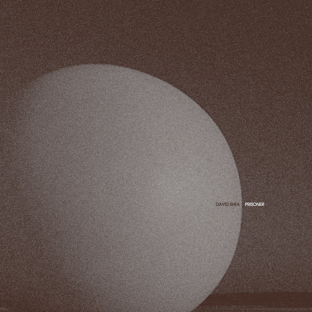 Prisoner | David Shea