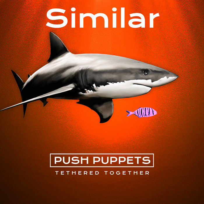 Similar | Push Puppets