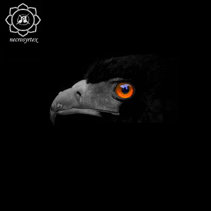 Necrosyrtex | Dukkha | Dont Stop Noise Records