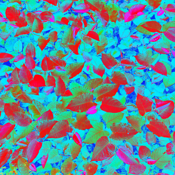 odyssey bright flashes of light | David Beardsley