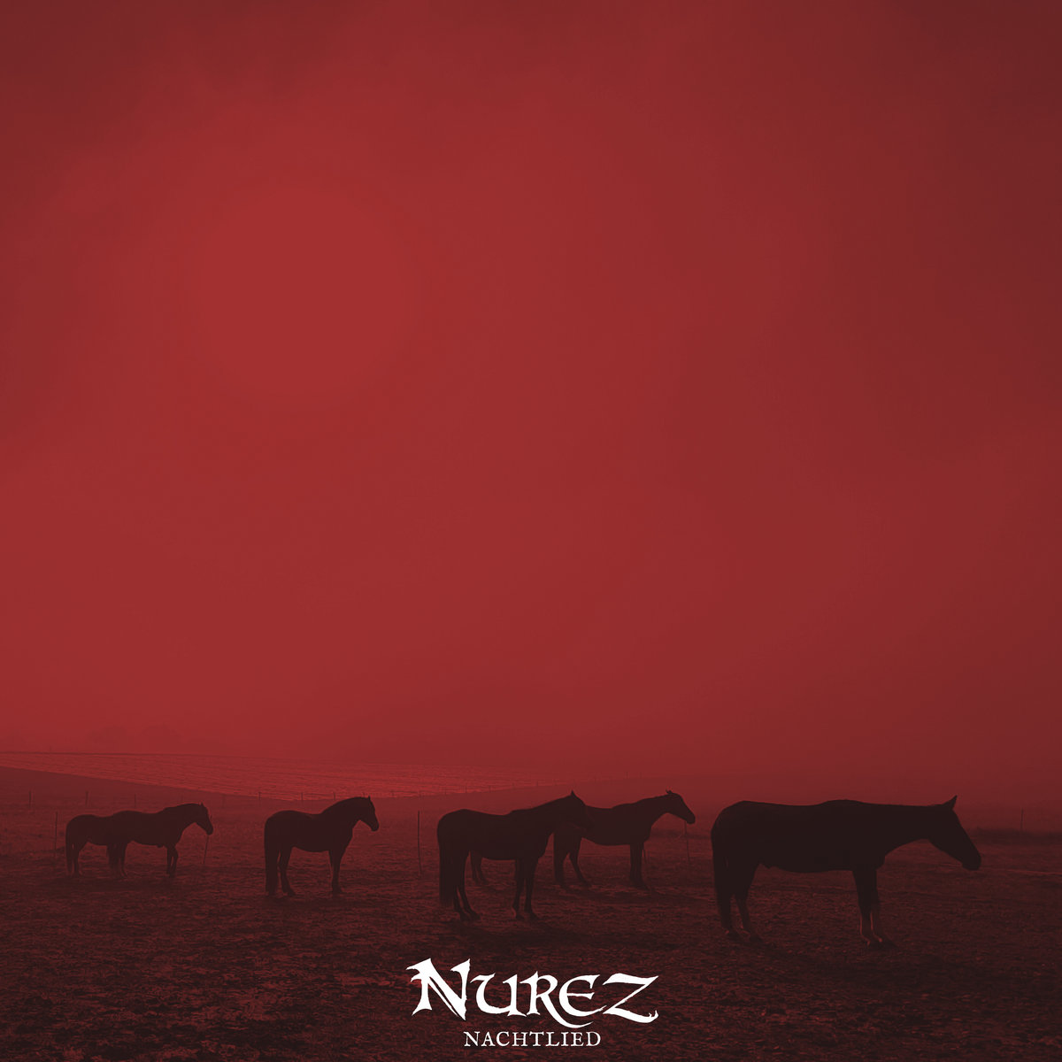 Nachtlied | Nurez | Sumarbrander