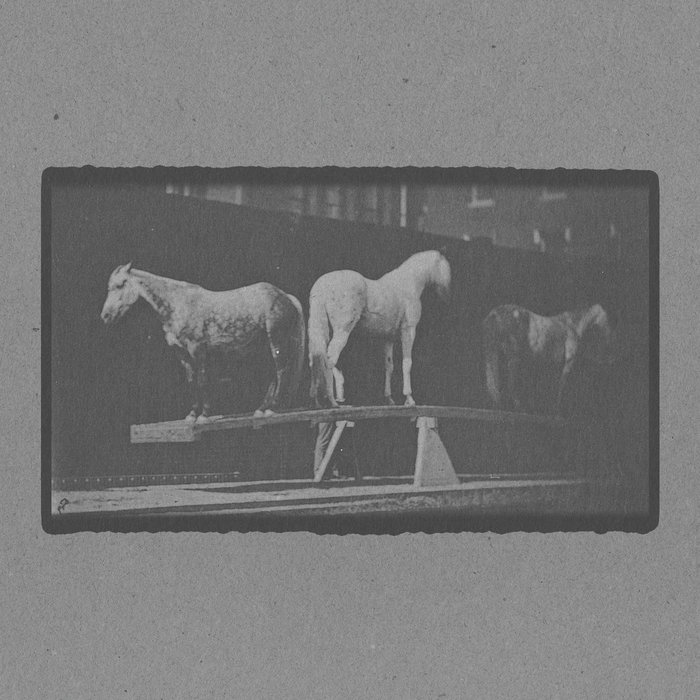 Three Horses on Teeter Board | Muybridge