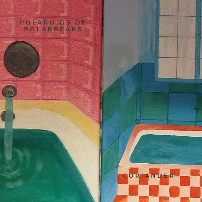 The hinge, the huster and the hyena | Polaroids of Polarbears