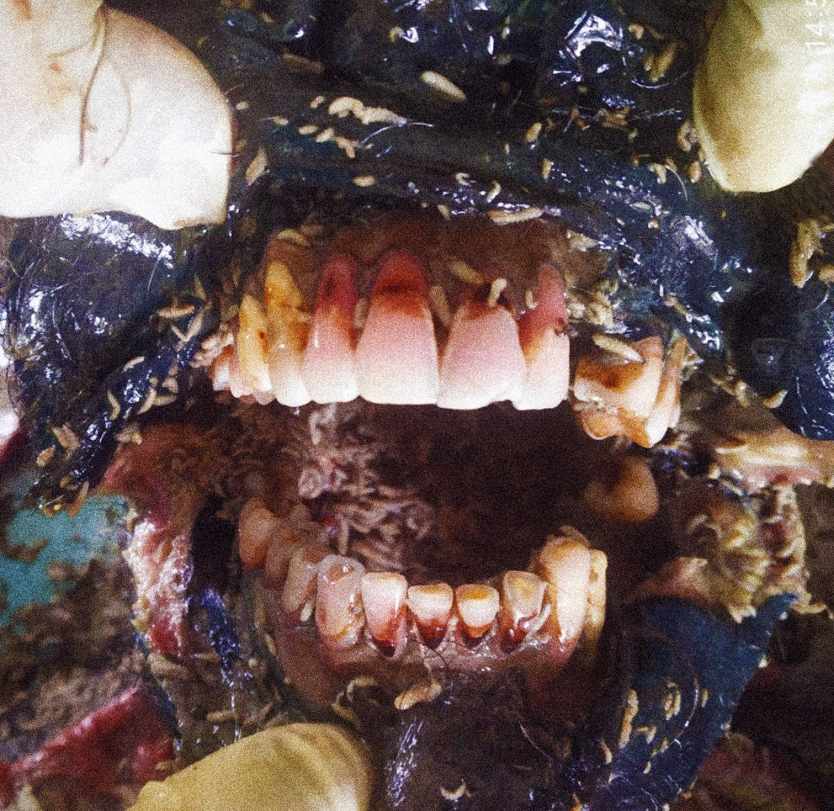 A Rosy Smile | Coffin Vomit | ABHORRENT A.D.