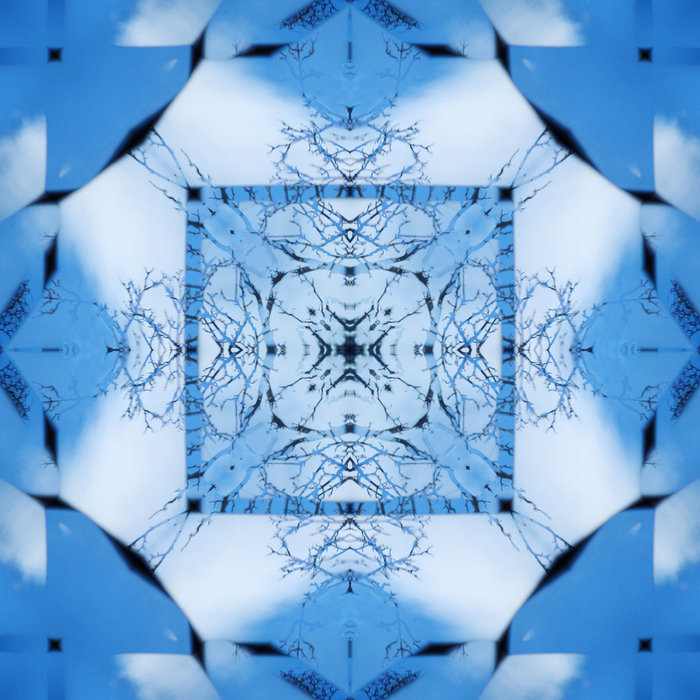 The Last Bird | DTime