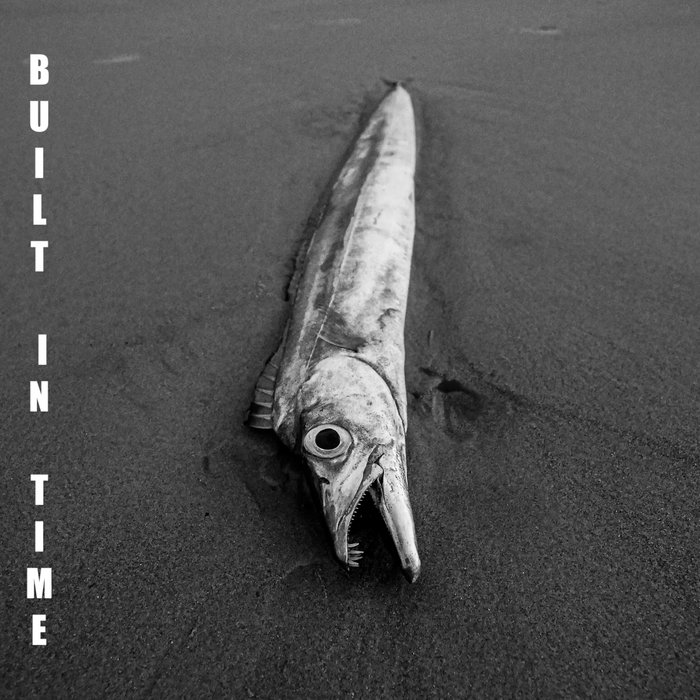 Built In Time | Omni | omni