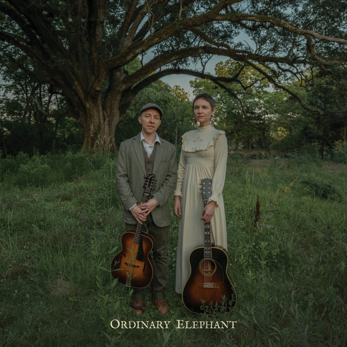 Ordinary Elephant | Ordinary Elephant