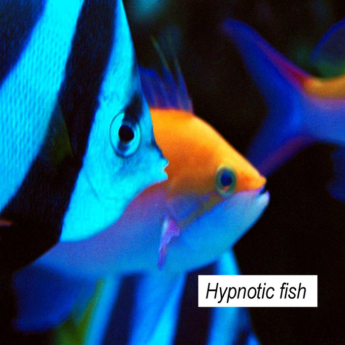 Hypnotic Fish (remastered 2012) | ENERE