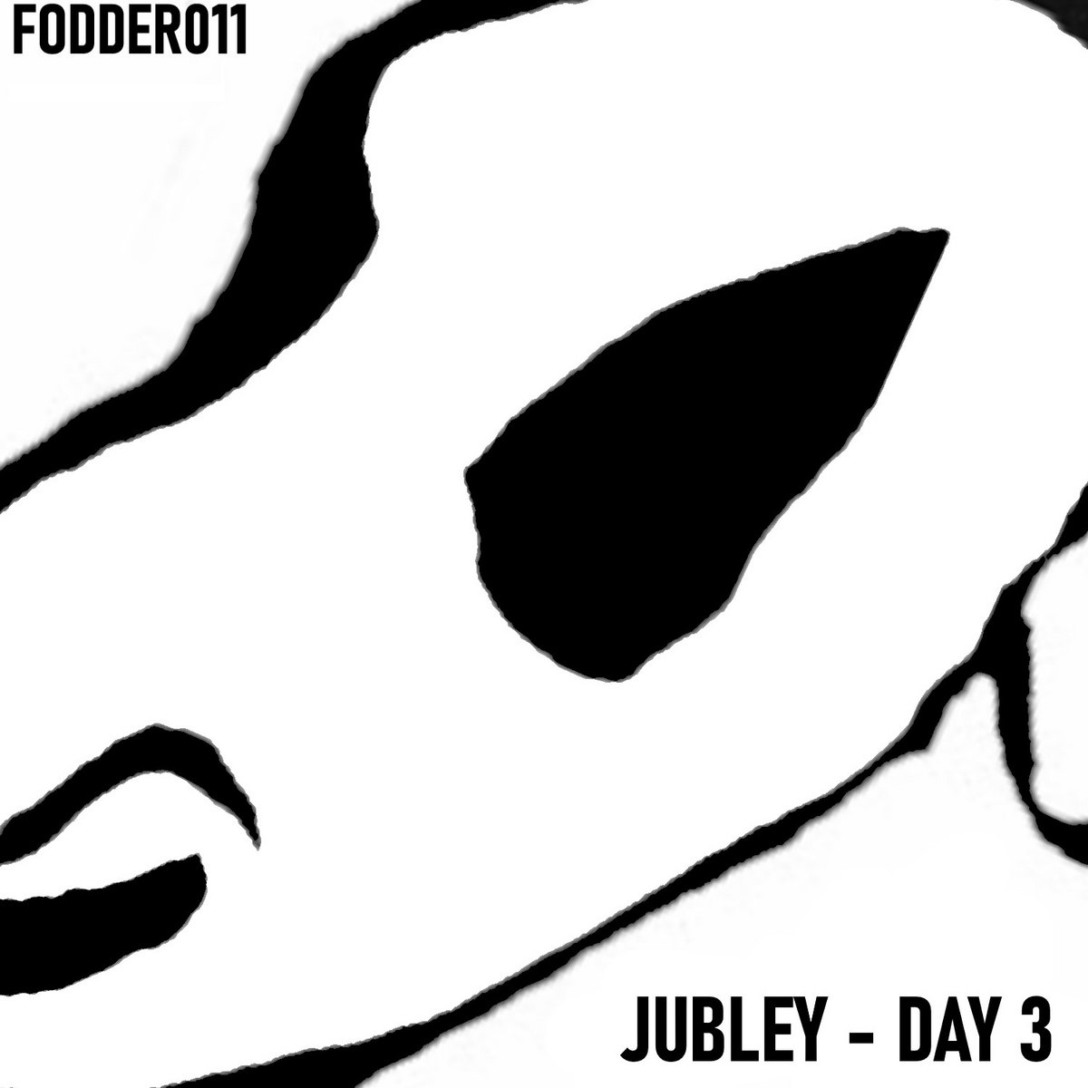 FODDER011: Jubley // Day 3 | Jubley | Fodder Records