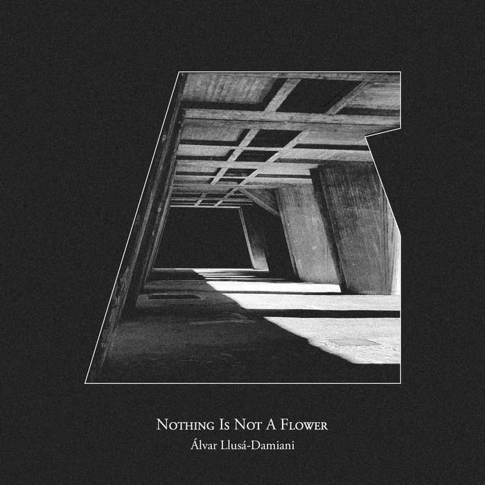 Nothing Is Not A Flower | Álvar Llusá-Damiani