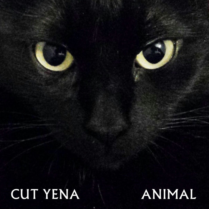 Animal | Cut Yena