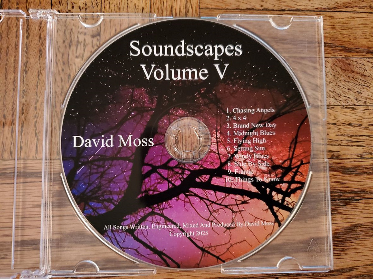 Soundscapes, Volume V | David Moss