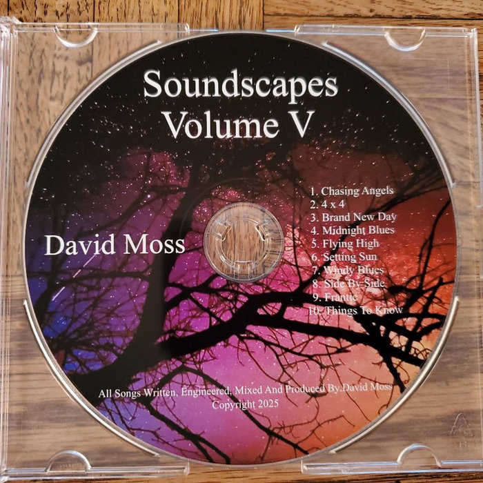 Soundscapes, Volume V | David Moss