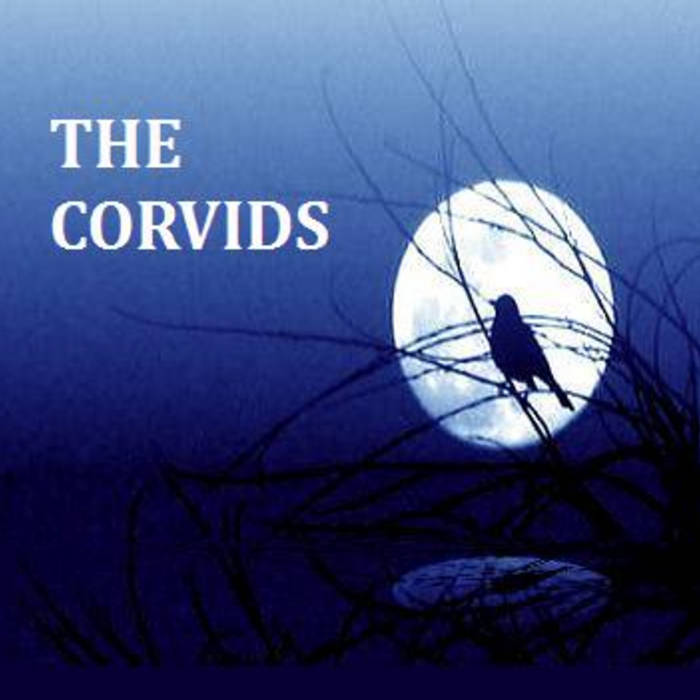 The Corvids | The Corvids