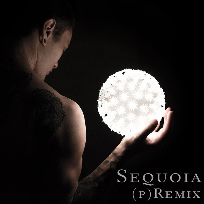 Sequoia (p)Remix | Chris Hayzel