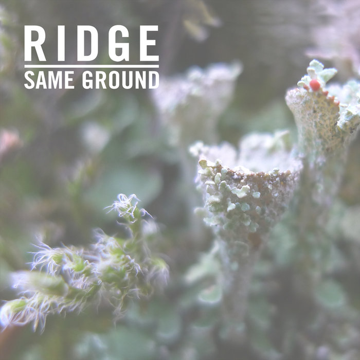 Same Ground | Ridge