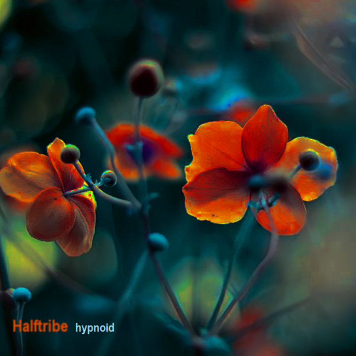 Hypnoid EP | halftribe