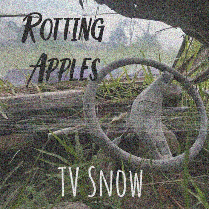 "TV Snow" (single) | Rotting Apples