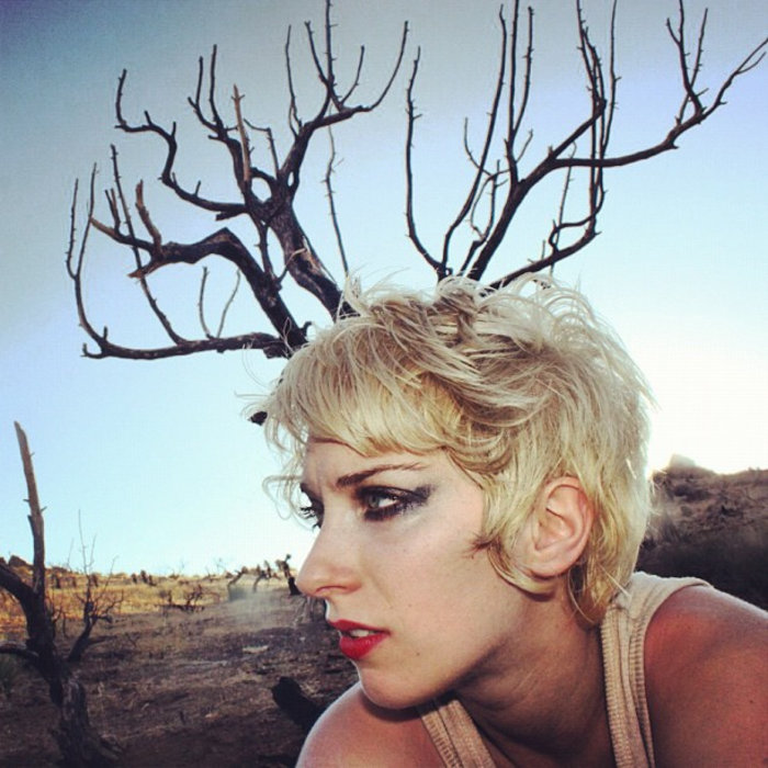 ANIMALS | Julia McAlee