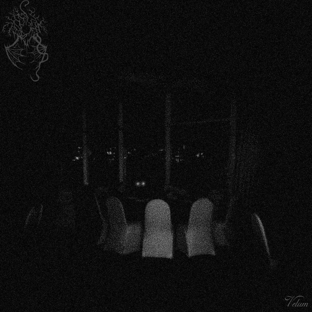 Velum | Maledictus Anguis