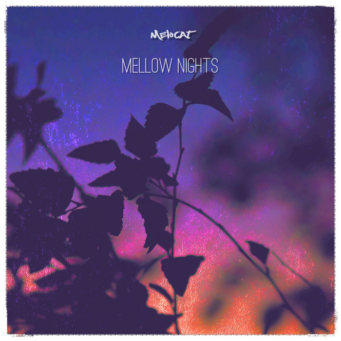 Mellow Nights | melocat | GumShoe