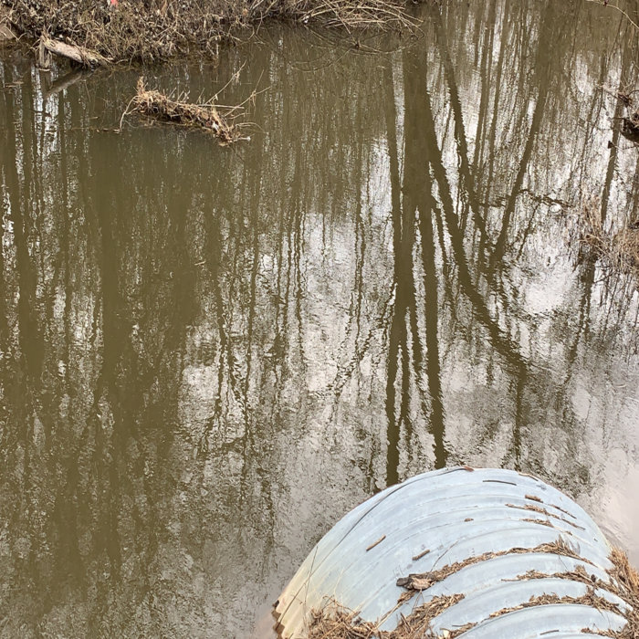 25.2: The River | RINGEX RAVENOUS | RINGEX PLASTER