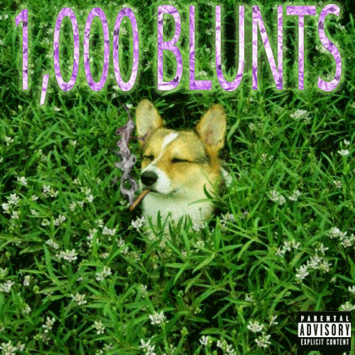 1000 BLUNTS | dom$olo