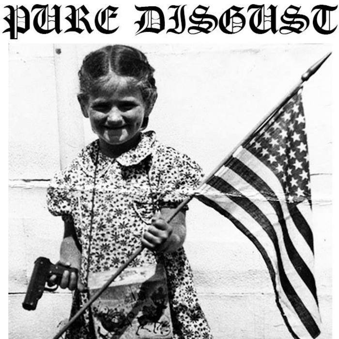 Demo 2013 | Pure Disgust