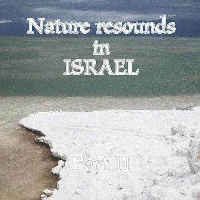 Nature Resounds In Israel Part Ii Lauri Hallikainen Ipn 10211435