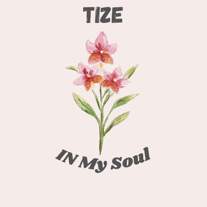 In My Soul | Tize