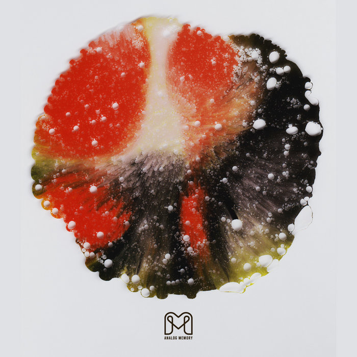 Metamorphosis II | Melodie