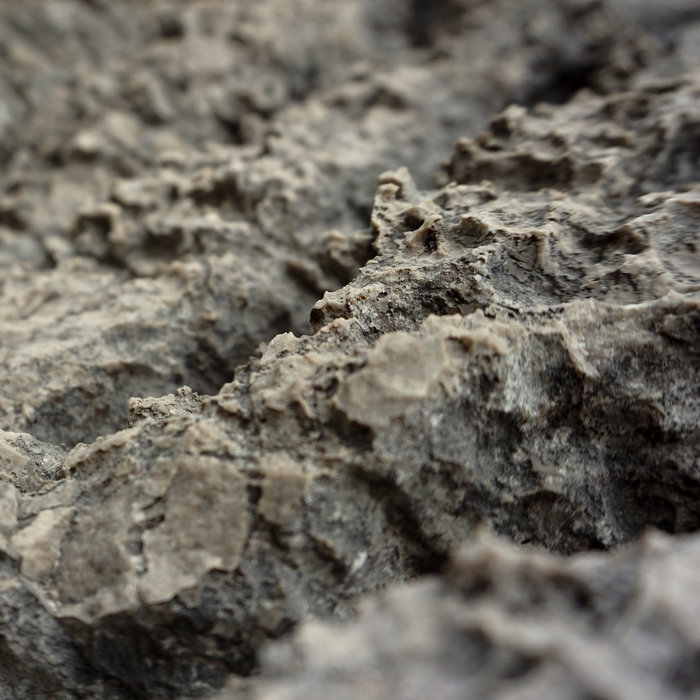 Endophasie des Poussières | OIZAK