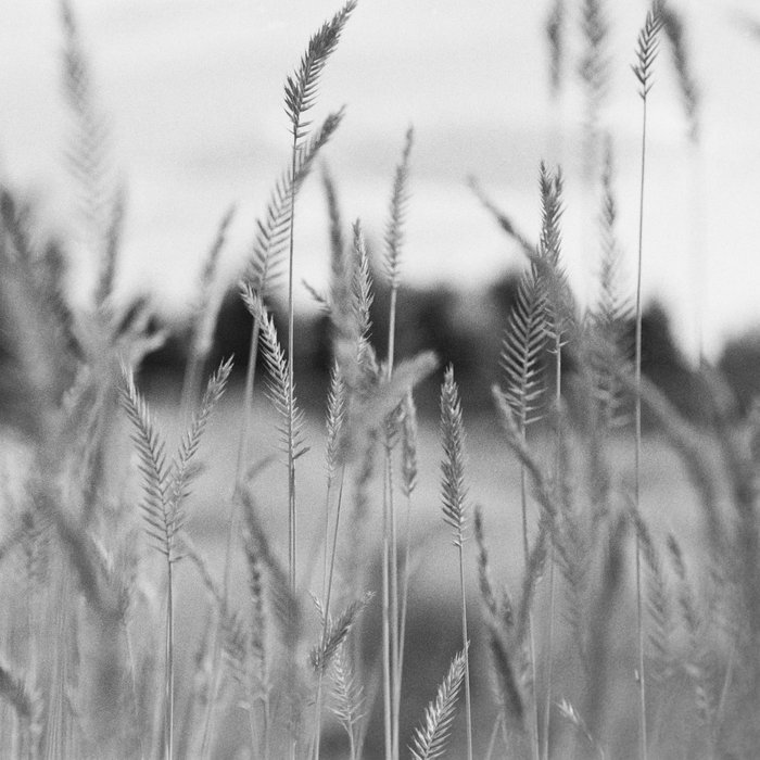 Center Positive | Matt Lowery