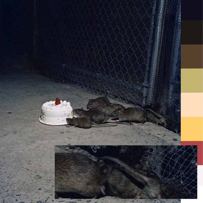 Birthday Party for Rats | vay