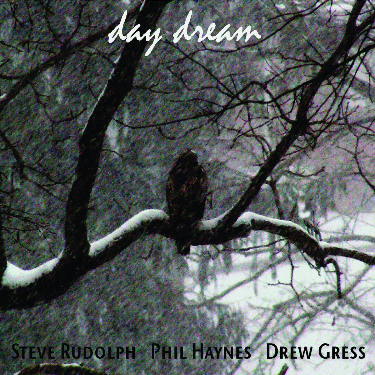 Day Dream | Steve Rudolph, Drew Gress, Phil Haynes | Phil Haynes
