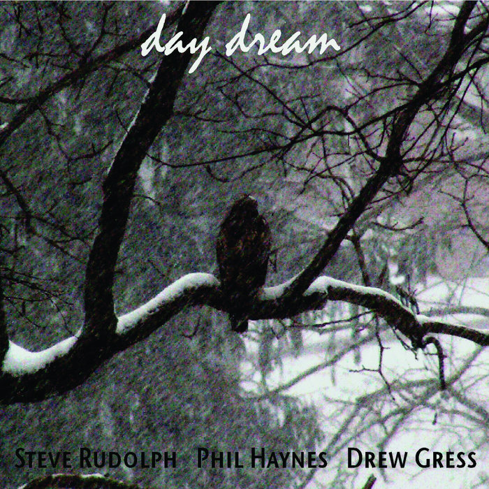 Day Dream | Steve Rudolph, Drew Gress, Phil Haynes | Phil Haynes