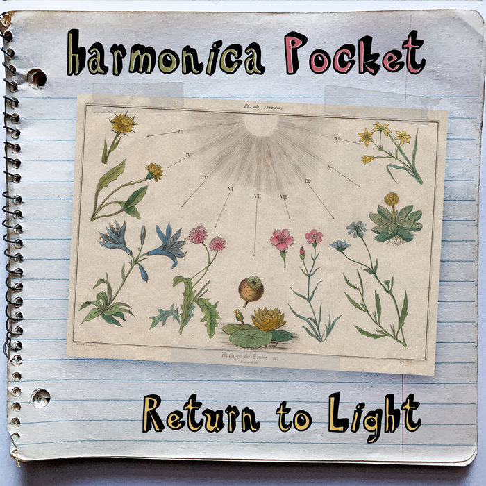 Return To Light | Harmonica Pocket