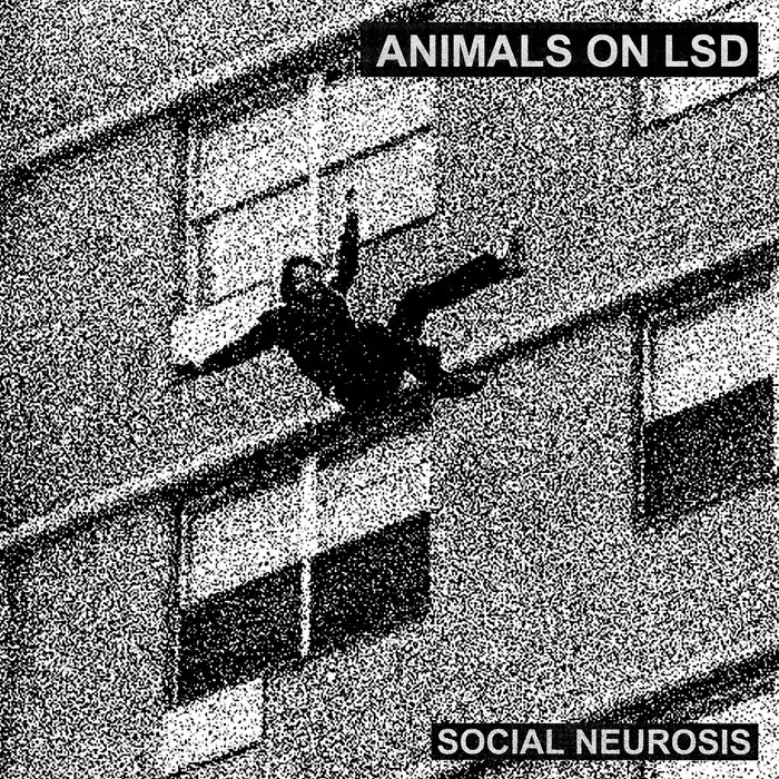 Social Neurosis | Animals On LSD