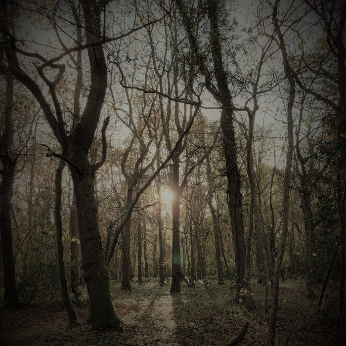 Run Astray EP | Morning in Akarmara