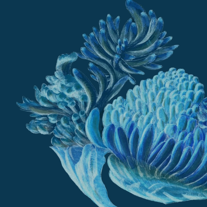 Hyphae | Lapis Elle | re:natura