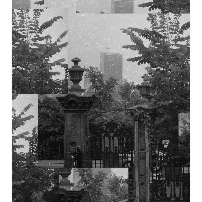 Subtle Movements | Body of Intrigue | Makade Star