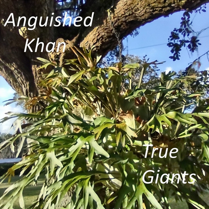 True Giants | Anguished Khan | Harsh Reality Music