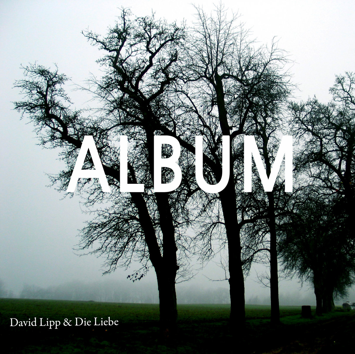 Album | David Lipp & Die Liebe